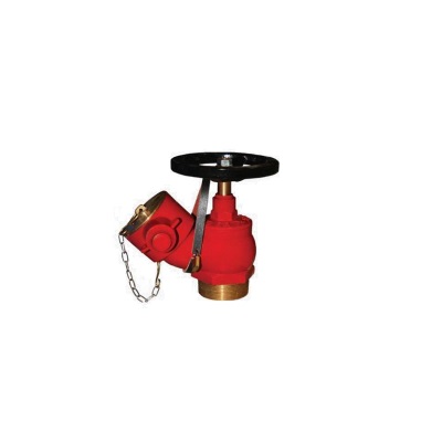 Bristol BFE-2.5LVT Oblique Threaded Landing Valve – Safetag – Fire ...