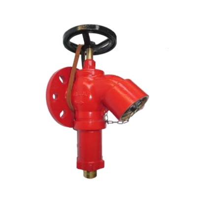 Bristol BFE-2.5LVFP Pressure Reducing E-Type Landing Valve – Safetag ...