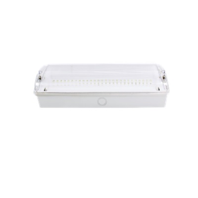 Emerge Lux BY-Z2145U-T Maintained/Non-Maintained Emergency Light ...